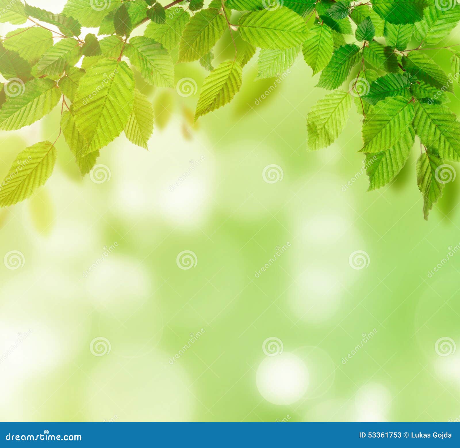 Green nature background stock image. Image of season - 53361753
