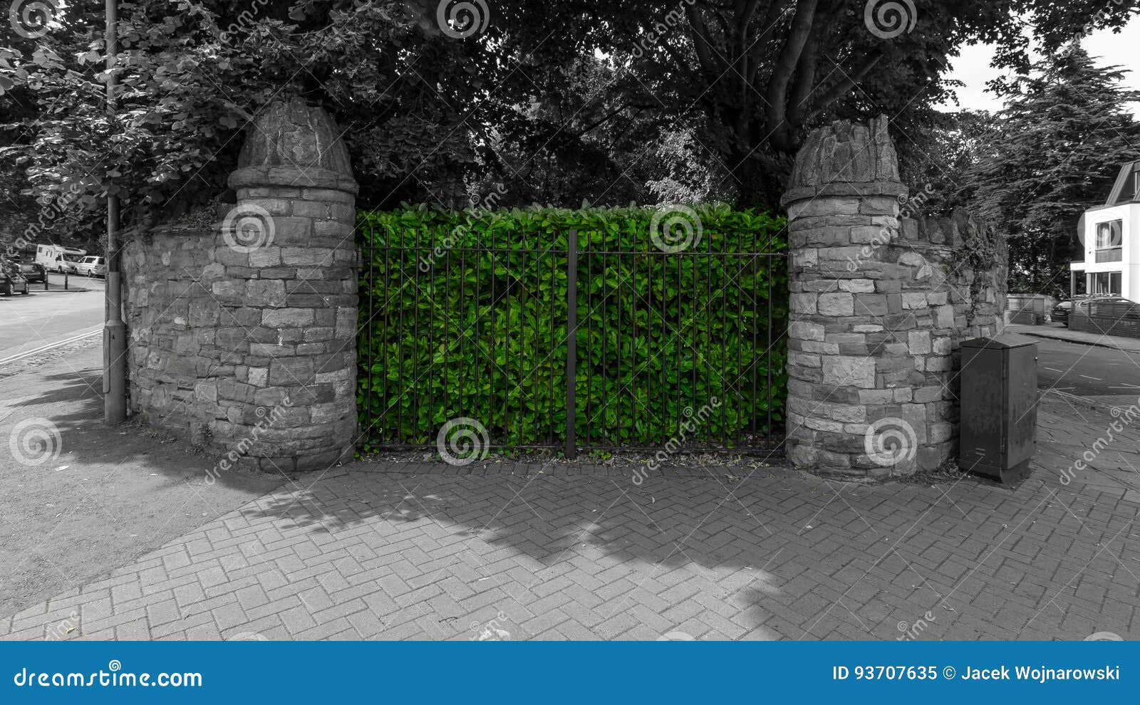Green Nature Behind the Gate Stock Image - Image of colour, bristol ...