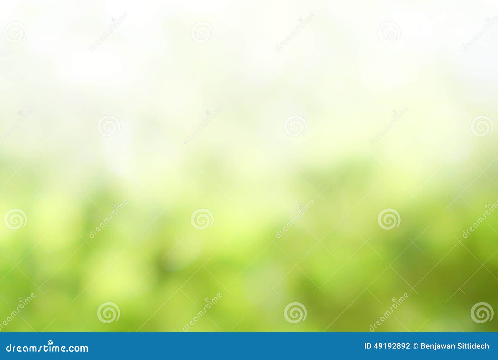Green Nature Blurred Background Stock Photo - Image of green, abstract ...
