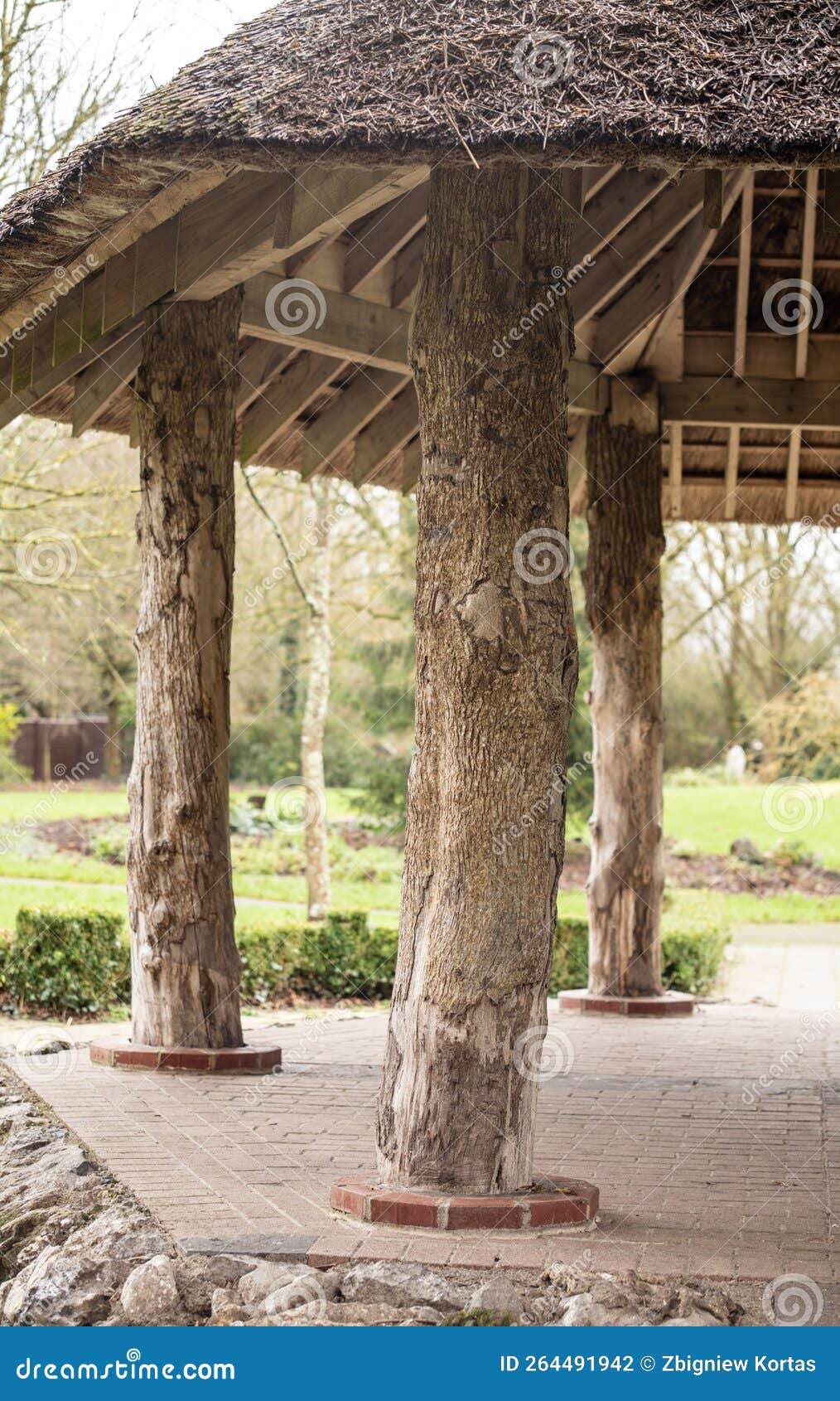 Green Nature through the Camera Lens Stock Photo - Image of flare ...