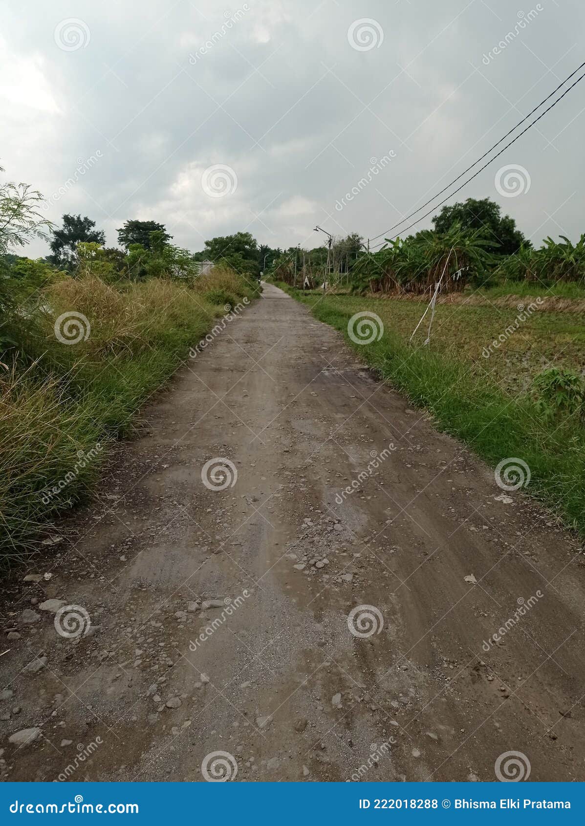 Footpath and clear skies stock photo. Image of nature - 222018288