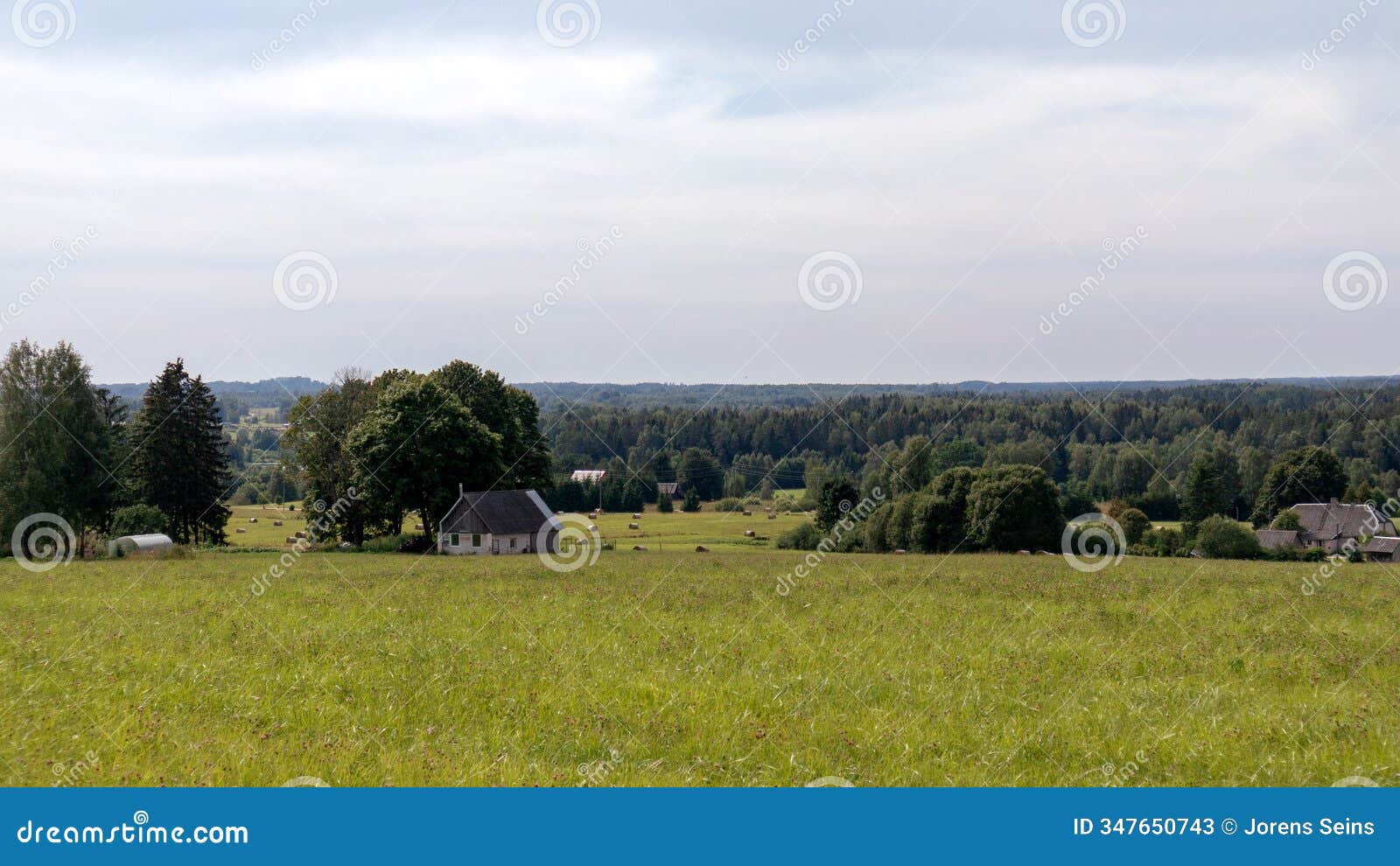 .Green Nature Landscape with House, Trees and Grass Stock Image - Image ...