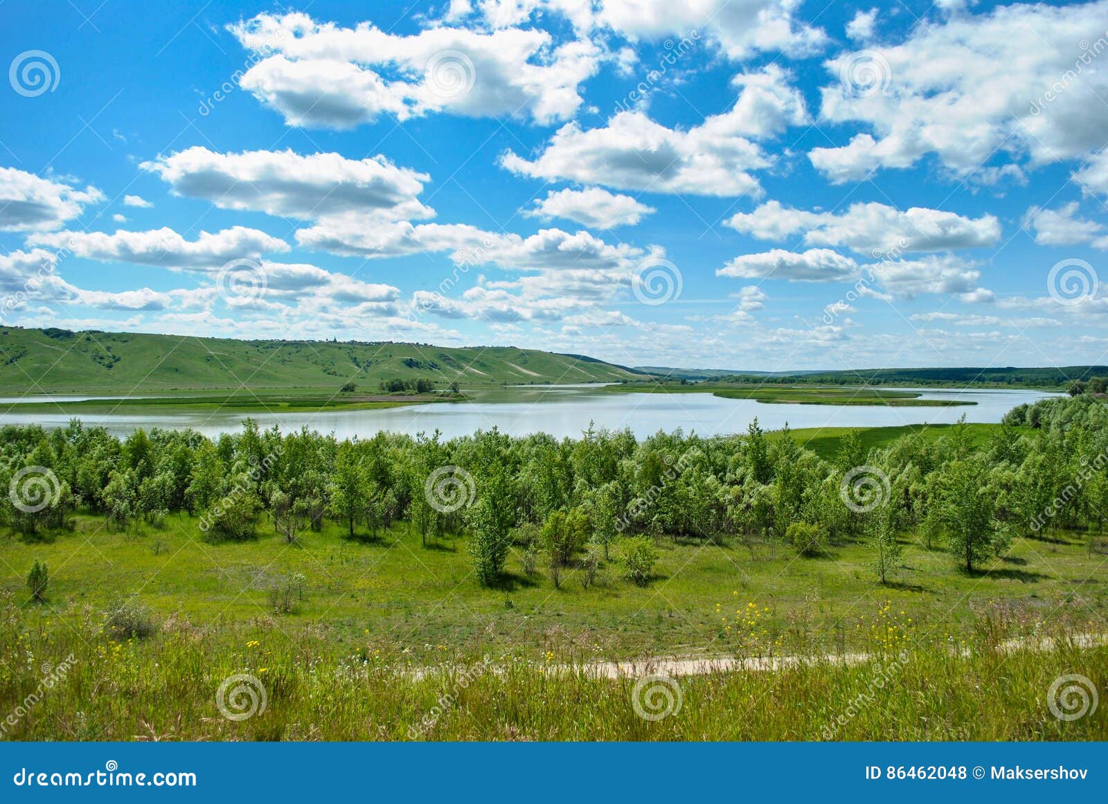 Green Nature Landscape in Russia Stock Photo - Image of nature, tree ...