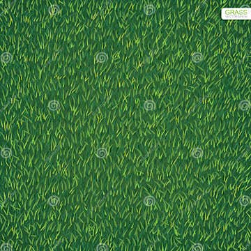 Green Nature Lawn Grass Texture and Pattern Background. Vector. Stock ...