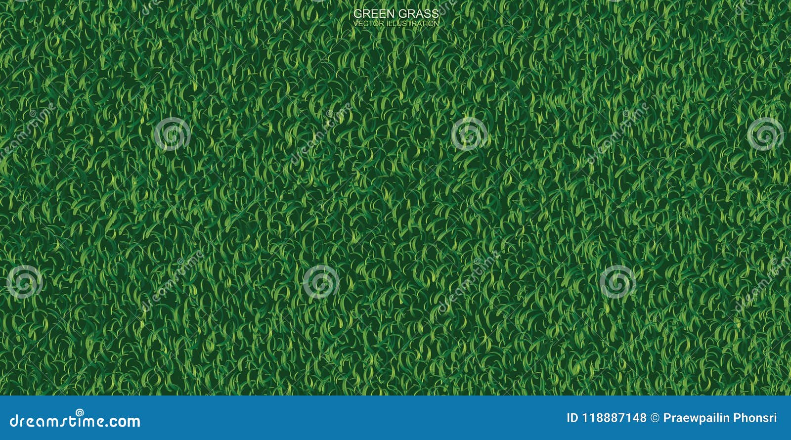Green Nature Lawn Grass Texture and Pattern for Background. Vector ...
