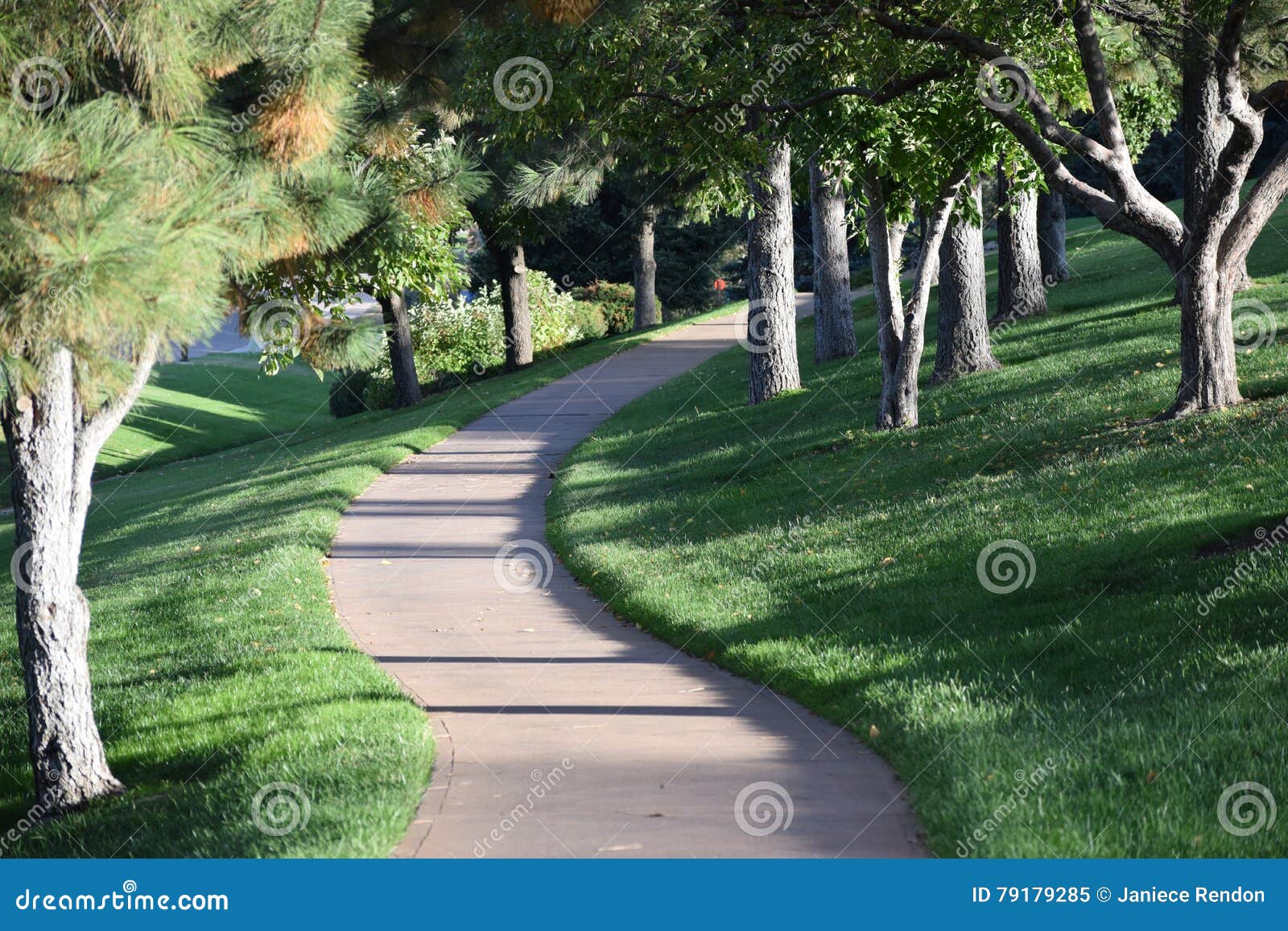 Green nature path stock image. Image of path, trees, grass - 79179285