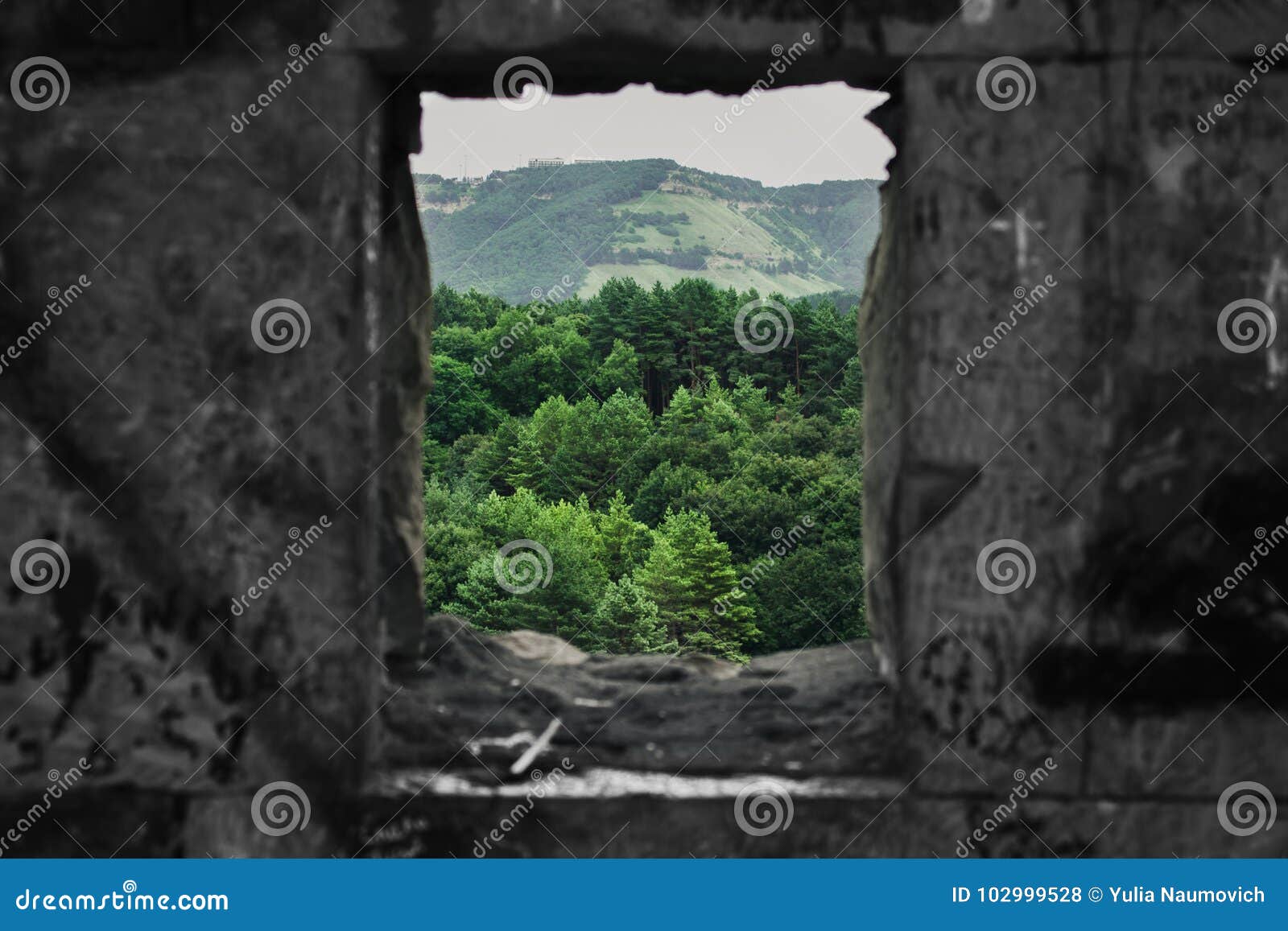 Nature Scenery through the Window Stock Photo - Image of pasture, fresh ...