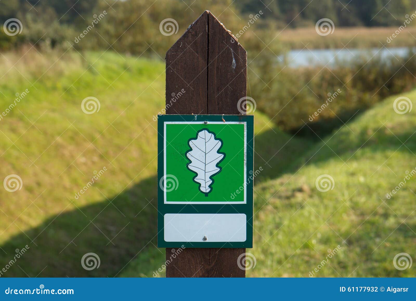 Green nature sign stock photo. Image of message, plank - 61177932