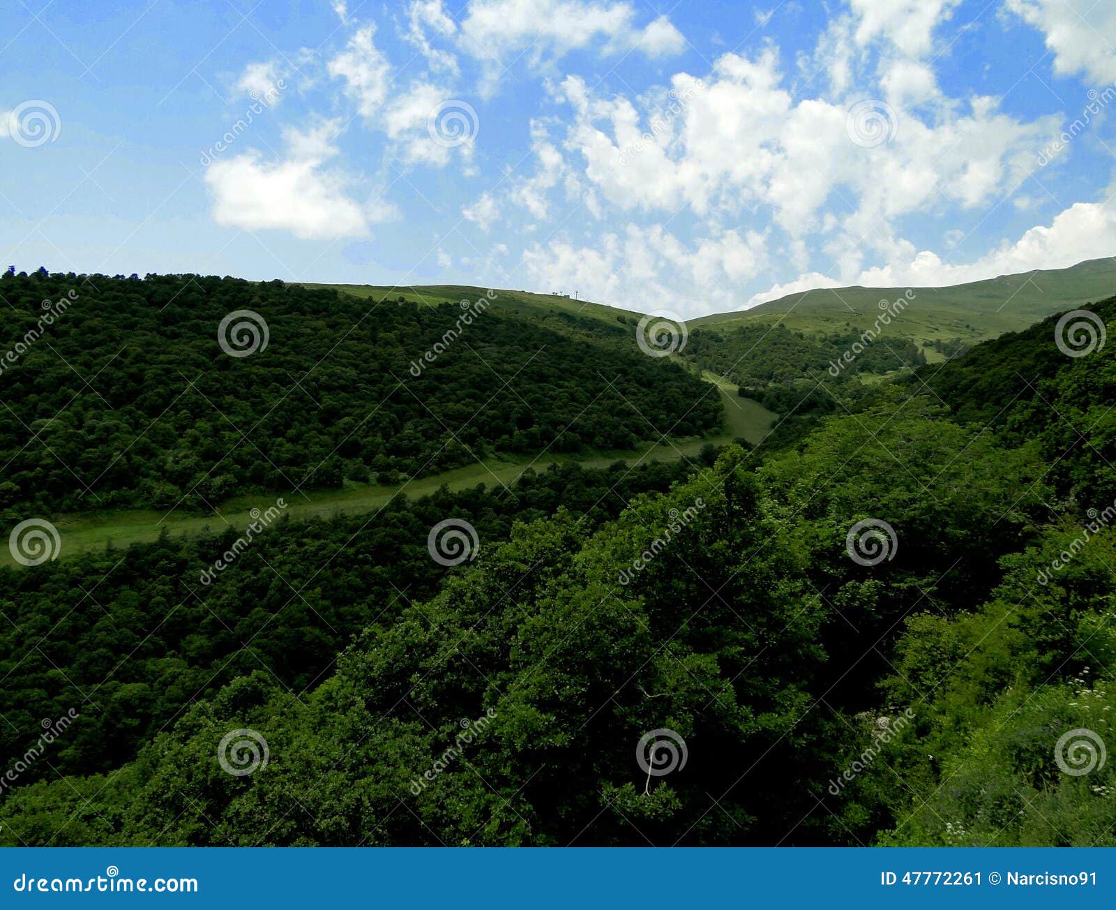 Green nature stock image. Image of nature, green, leave - 47772261