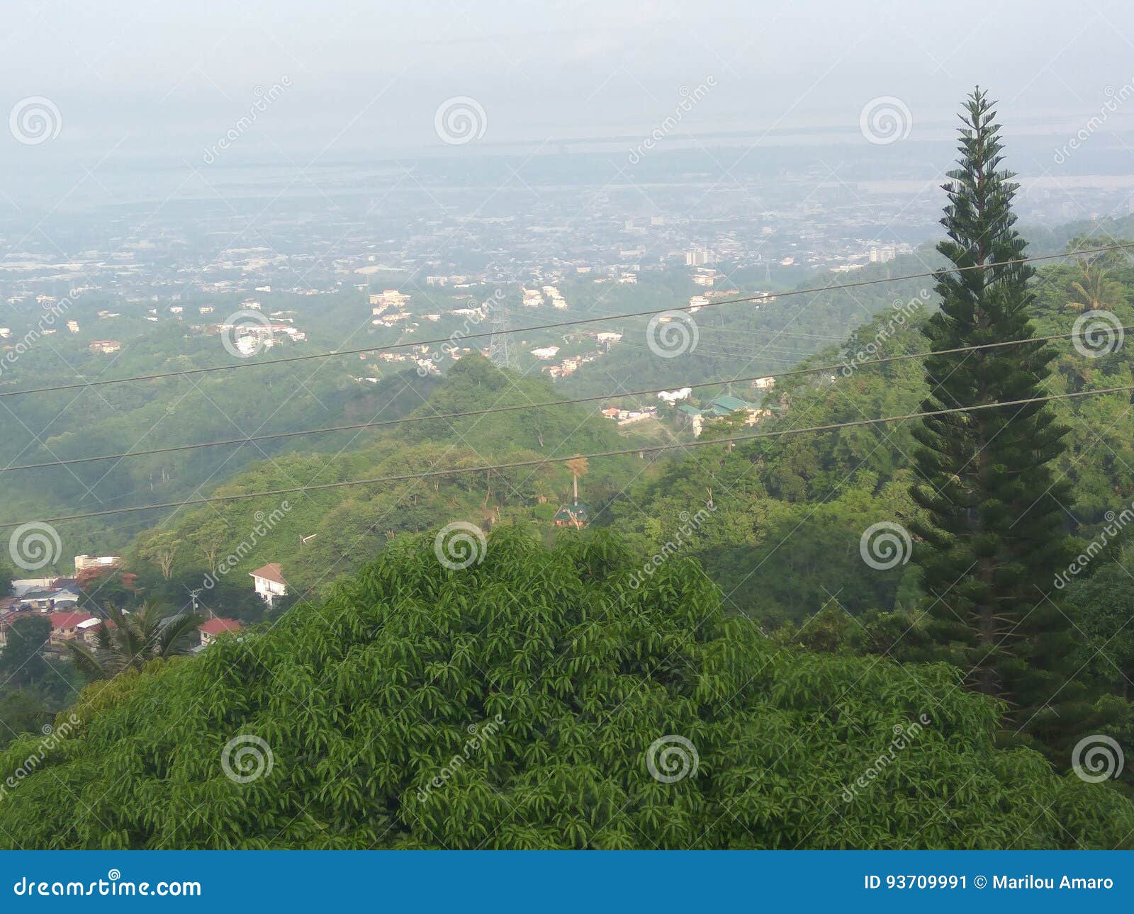 Green nature view stock image. Image of beautiful, green - 93709991
