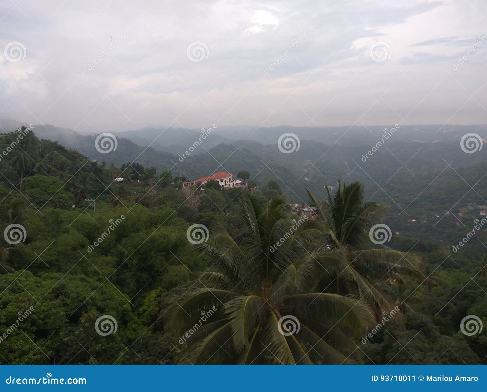 Green nature view stock image. Image of nature, view - 93710011