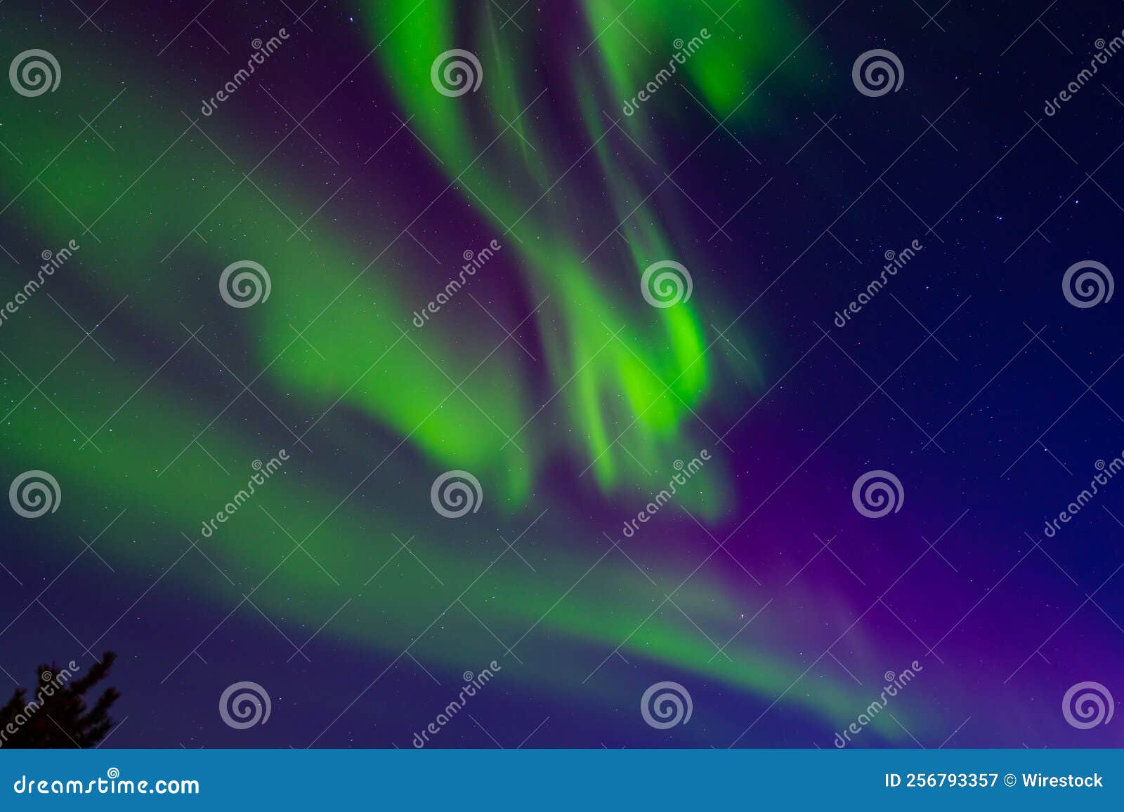 Green Neon Aurora Borealis in the Sky Stock Image - Image of motion ...