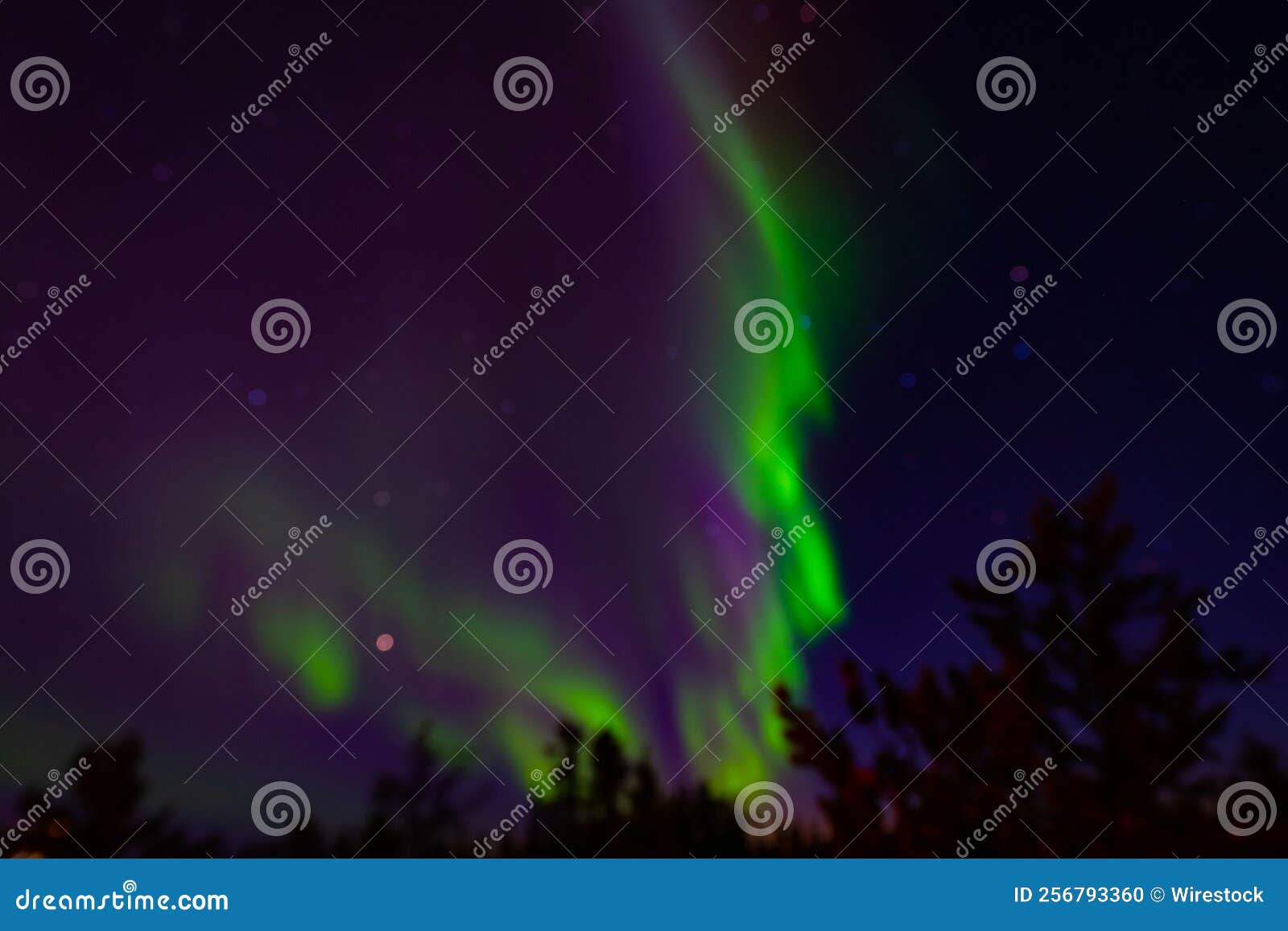 Green Neon Aurora Borealis in the Sky Stock Photo - Image of finland ...