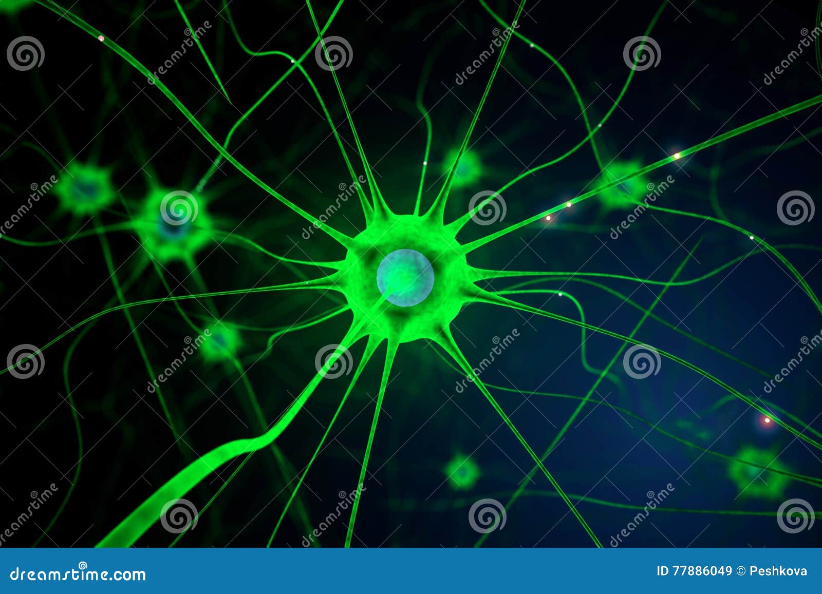 Green nerve cell stock illustration. Illustration of human - 77886049
