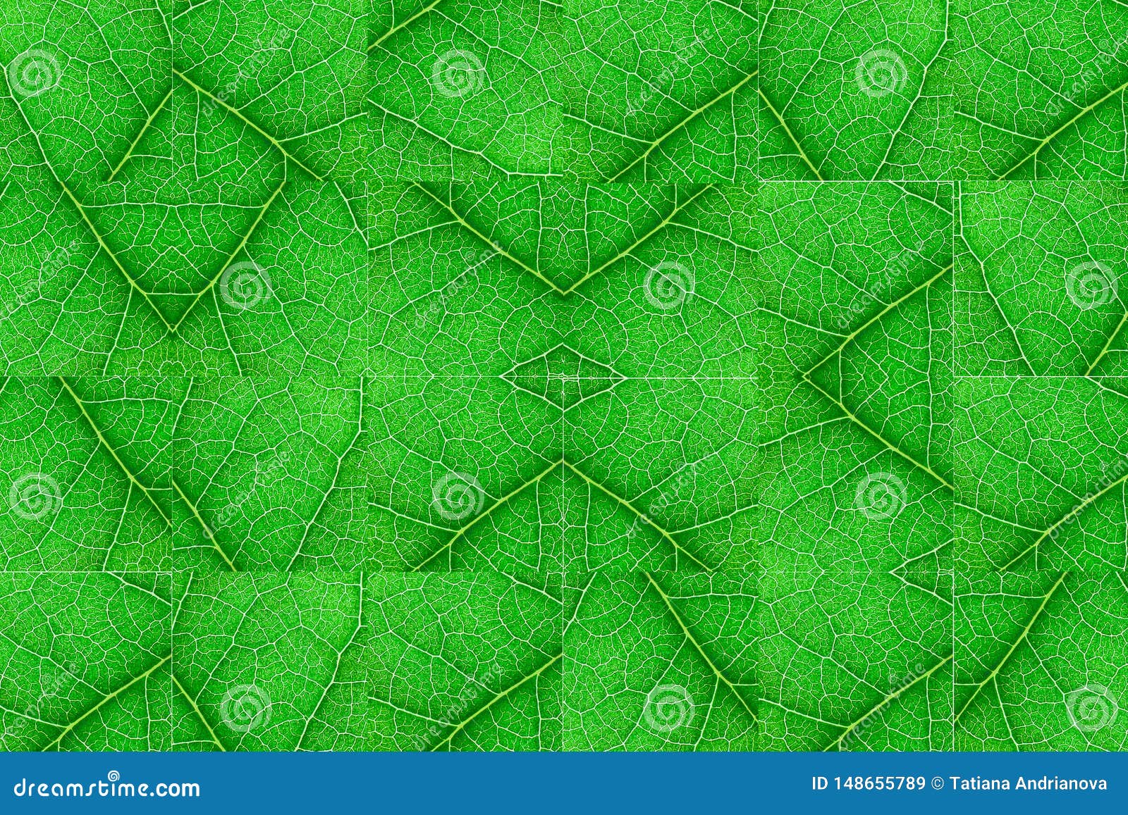 Green Nerved Leaf Cubes with Abstract Symmetric Pattern. Abstract ...
