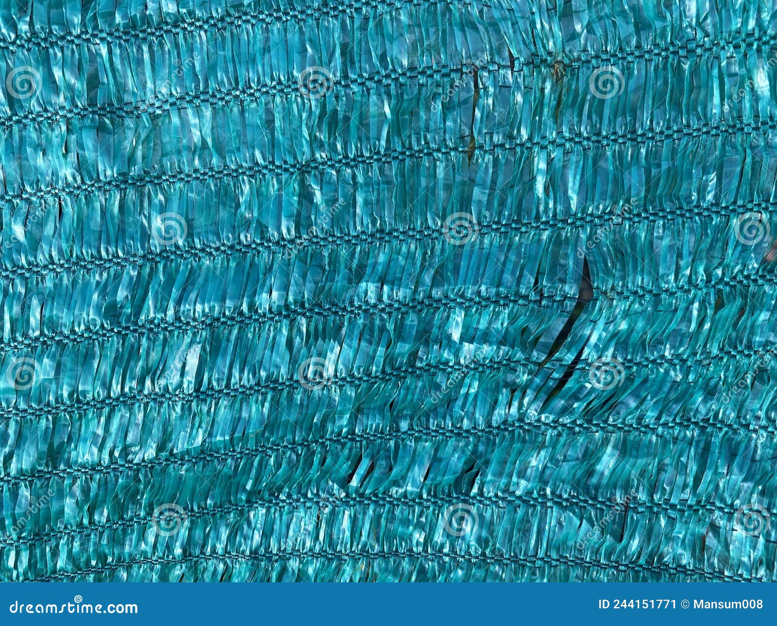 Green net texture stock image. Image of fashion, abstract - 244151771