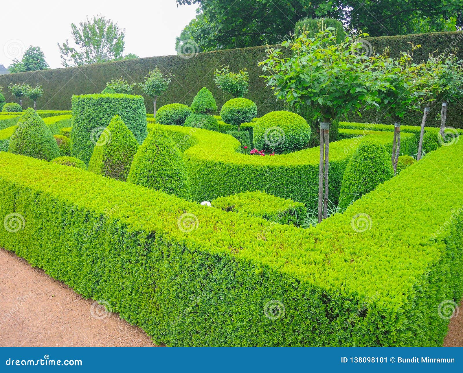 A Green Nice Garden with Hedges Cut Very Accurately. Stock Image ...