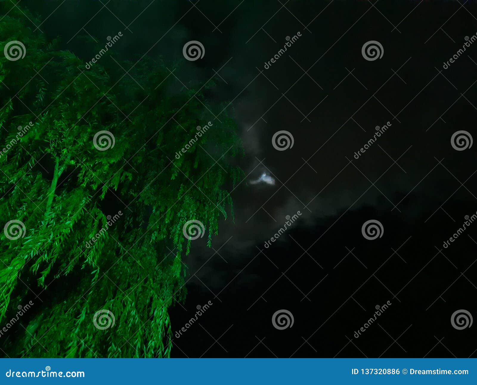 Green night stock photo. Image of green, moon, night - 137320886