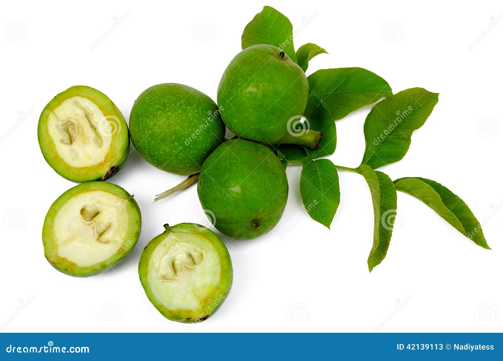 Green nut stock image. Image of peeled, healthy, nature - 42139113