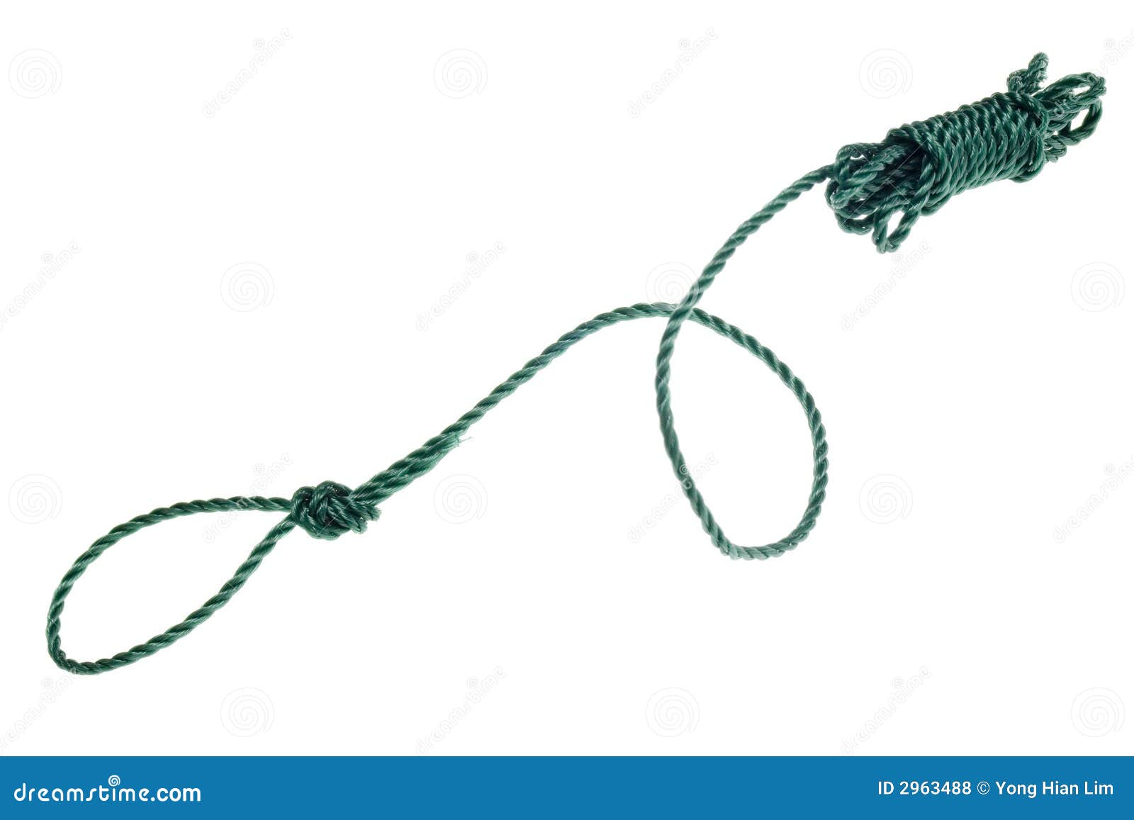 Green nylon rope stock photo. Image of cord, braided, coiled - 2963488