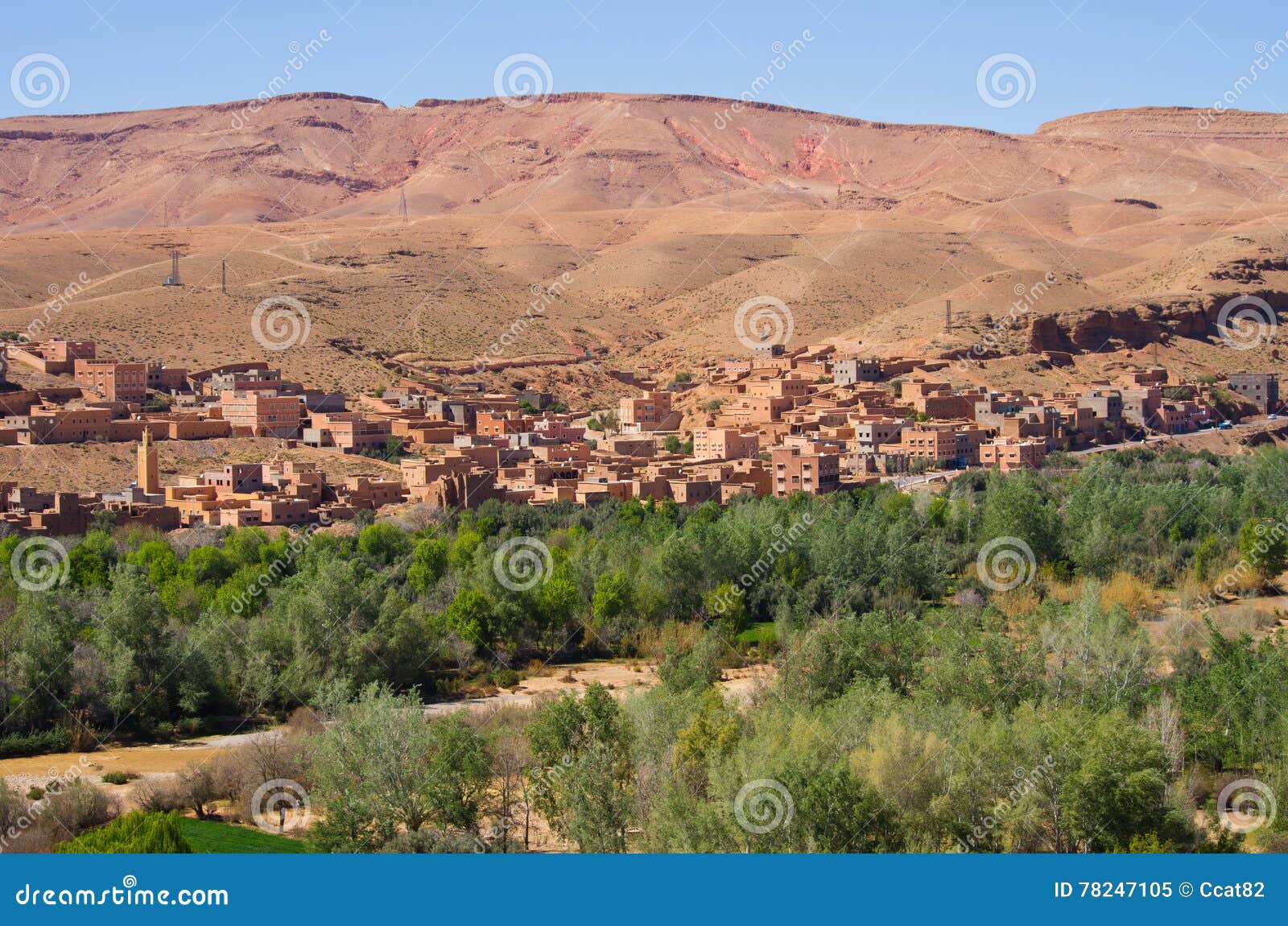 Green oasis in Morocco stock image. Image of blue, outdoor - 78247105