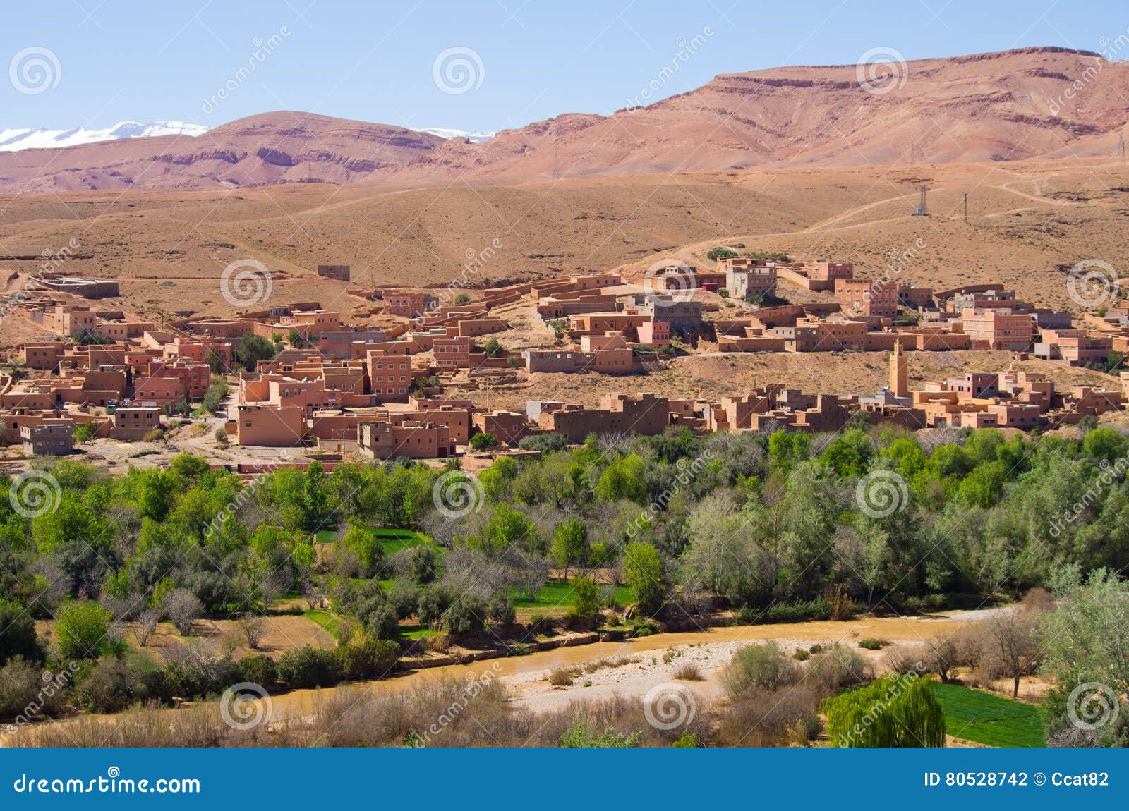Green oasis in Morocco stock photo. Image of nature, summer - 80528742