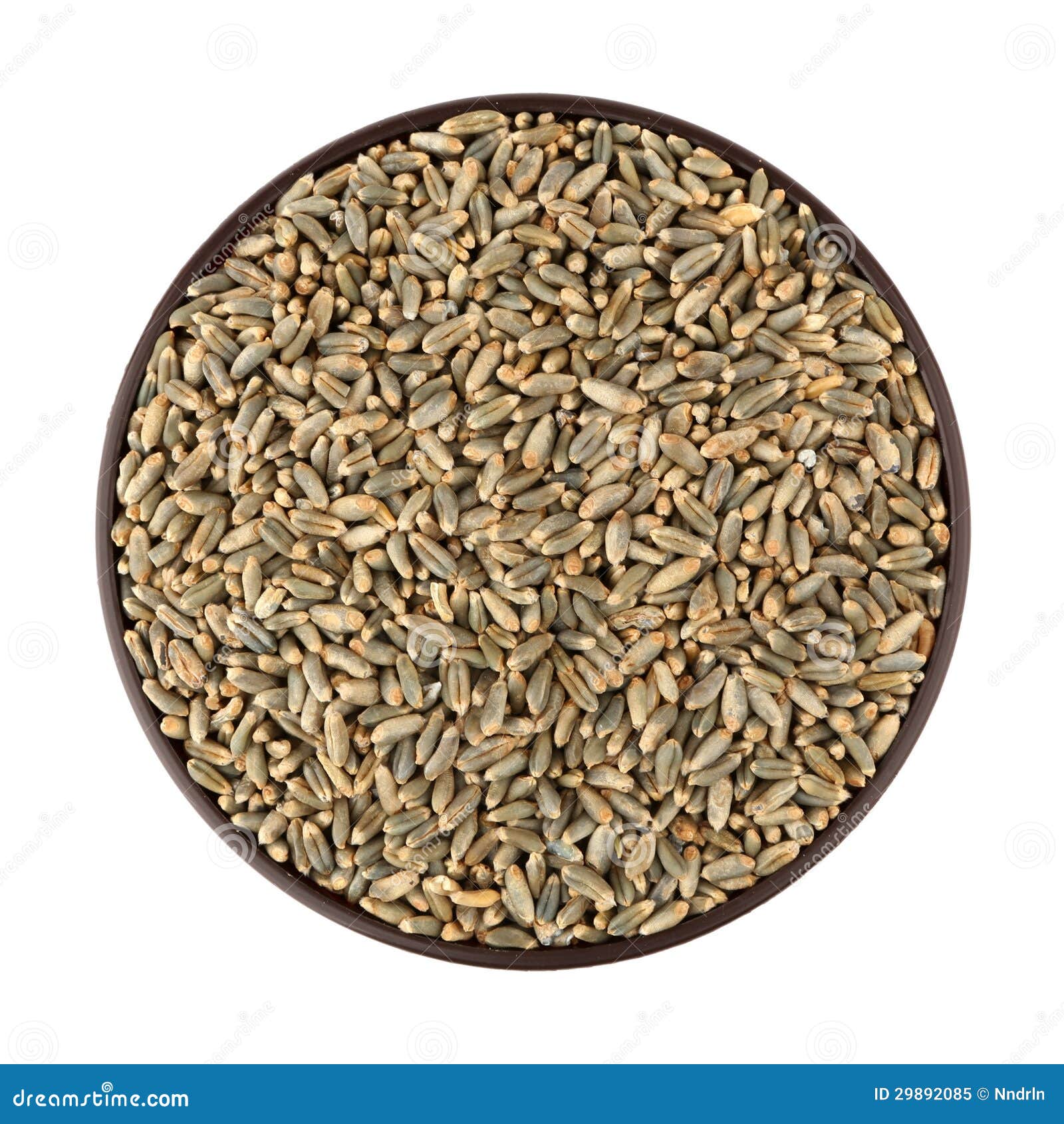 Green oat grain stock image. Image of white, object, uncooked - 29892085
