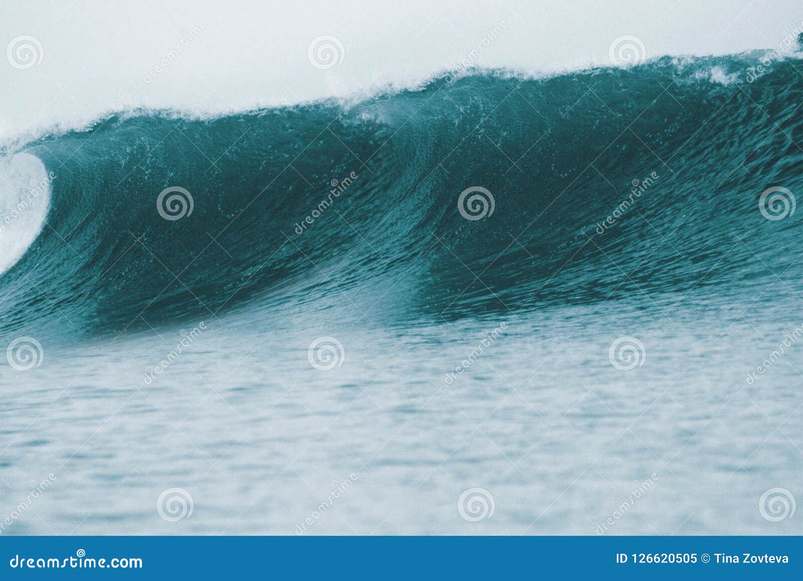 Green Ocean Wave stock image. Image of barrel, motion - 126620505
