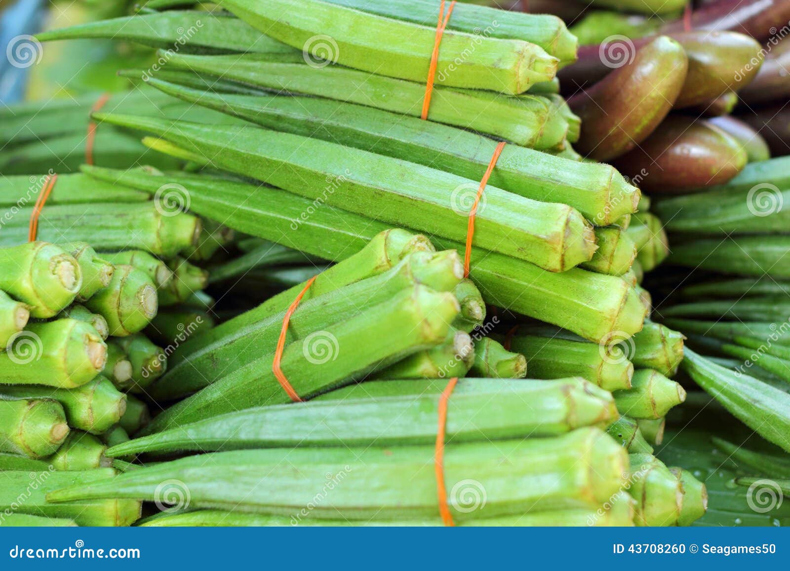 Green Okra Pods Fresh in the Market. Stock Photo - Image of okra ...