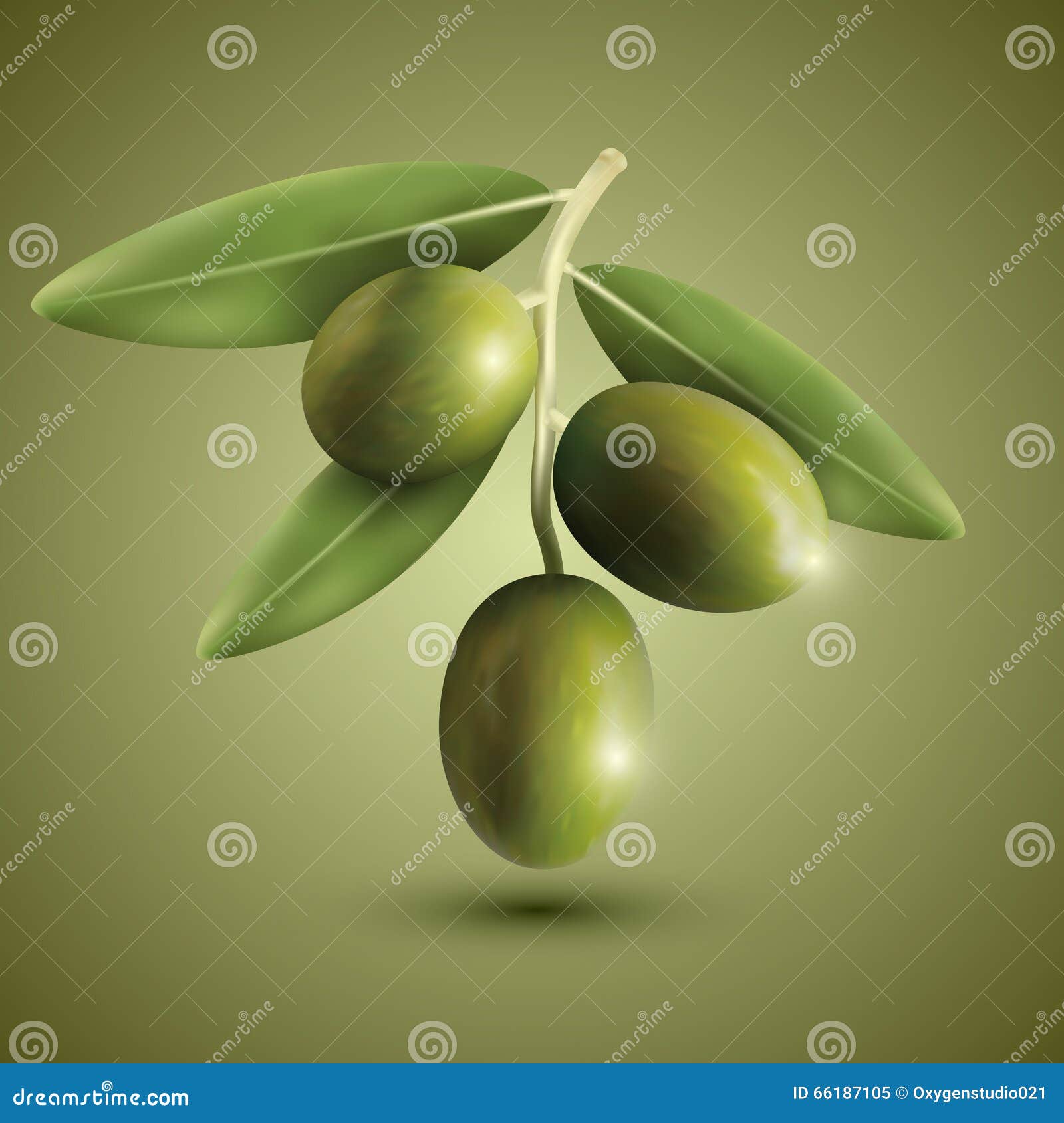 Set Of Olive Branches Logotypes With Leaves Vector Illustration ...