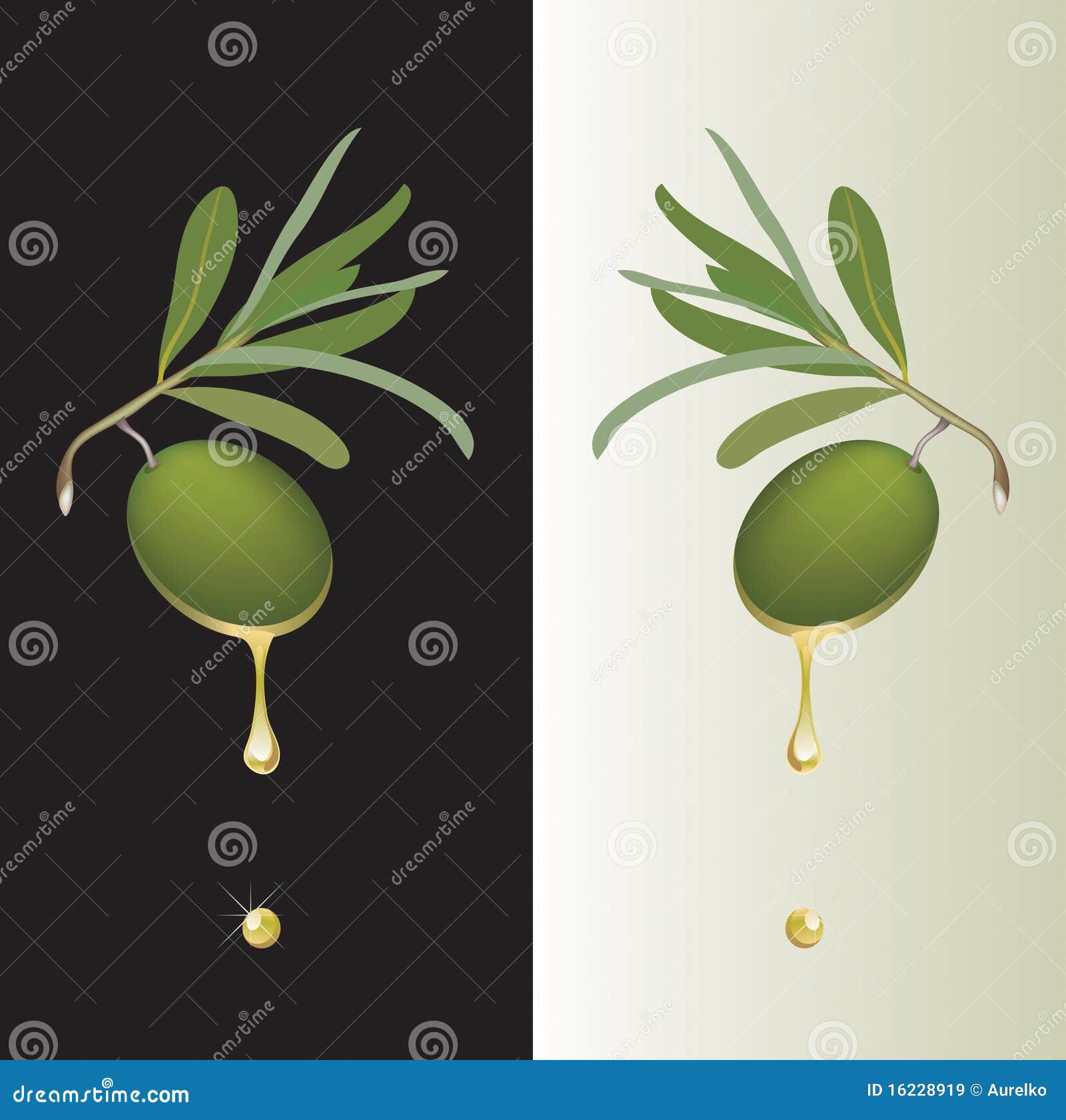 Olive Drop. Natural Branch With Splashes Of Transparent Oil Vector ...