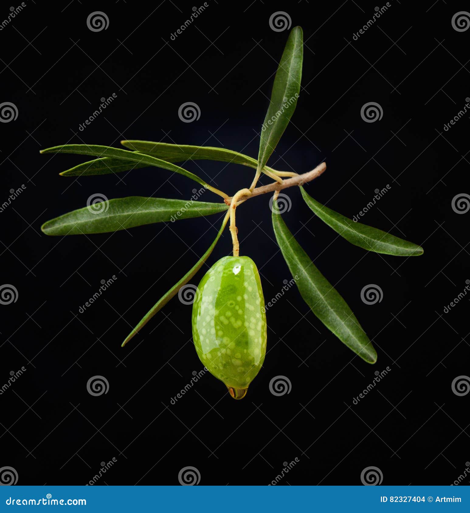 Green Olive with Leaves on Black Stock Photo - Image of drip, business ...
