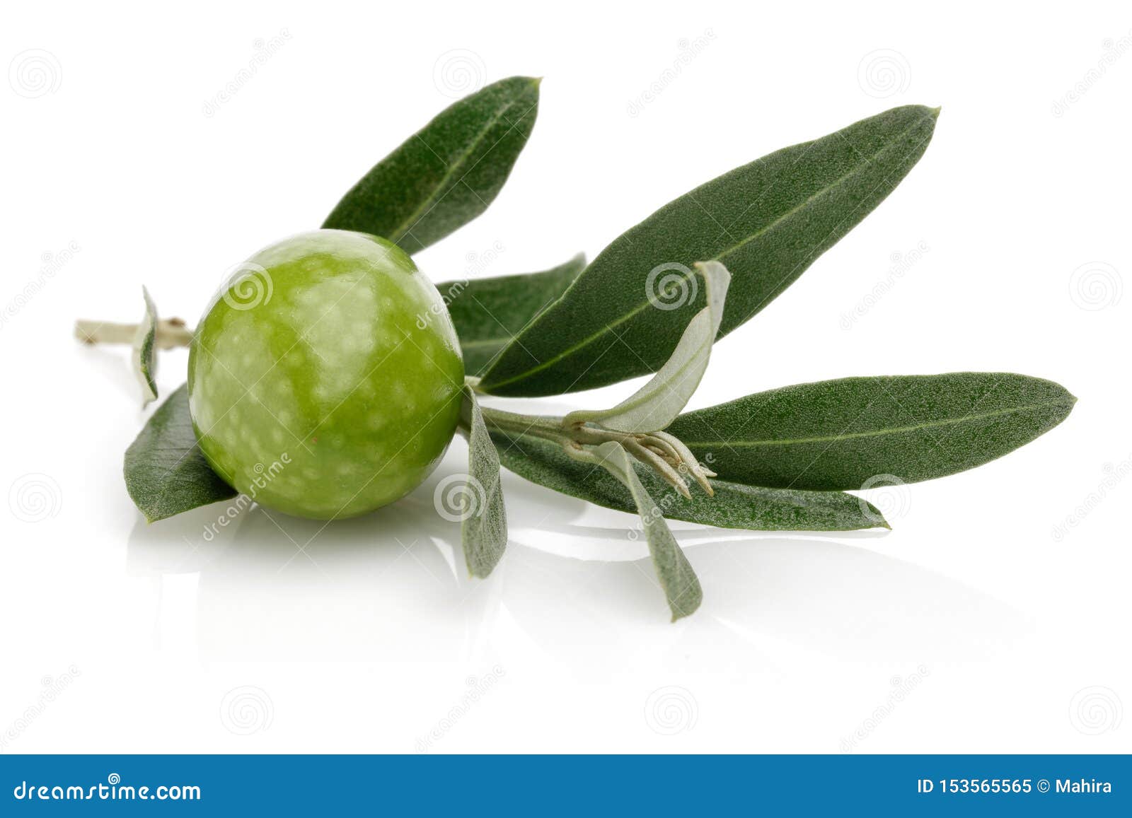 Green Olive with Leaves Isolated on White Stock Image - Image of leaves ...