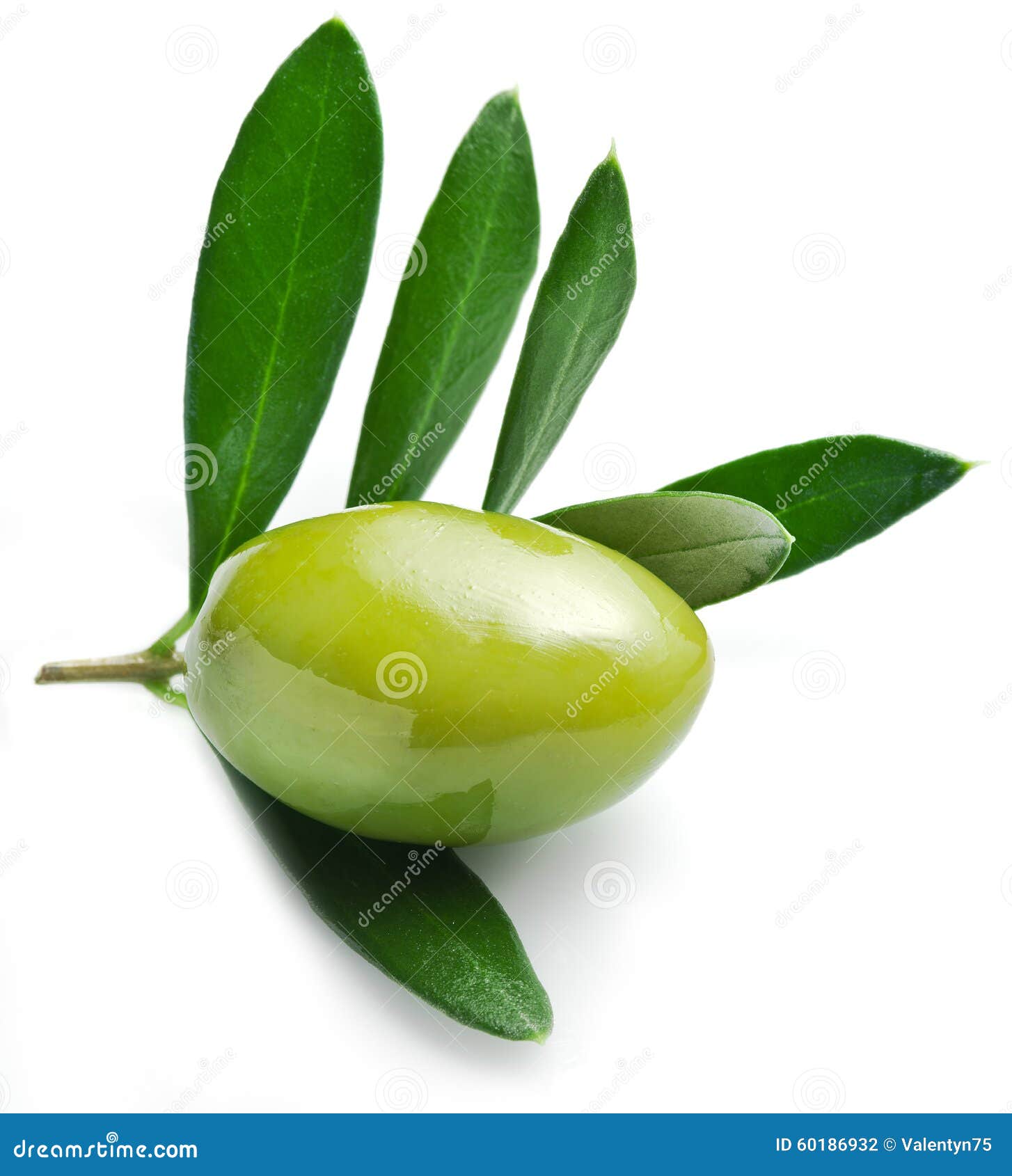 Green olive with leaves. stock photo. Image of white - 60186932