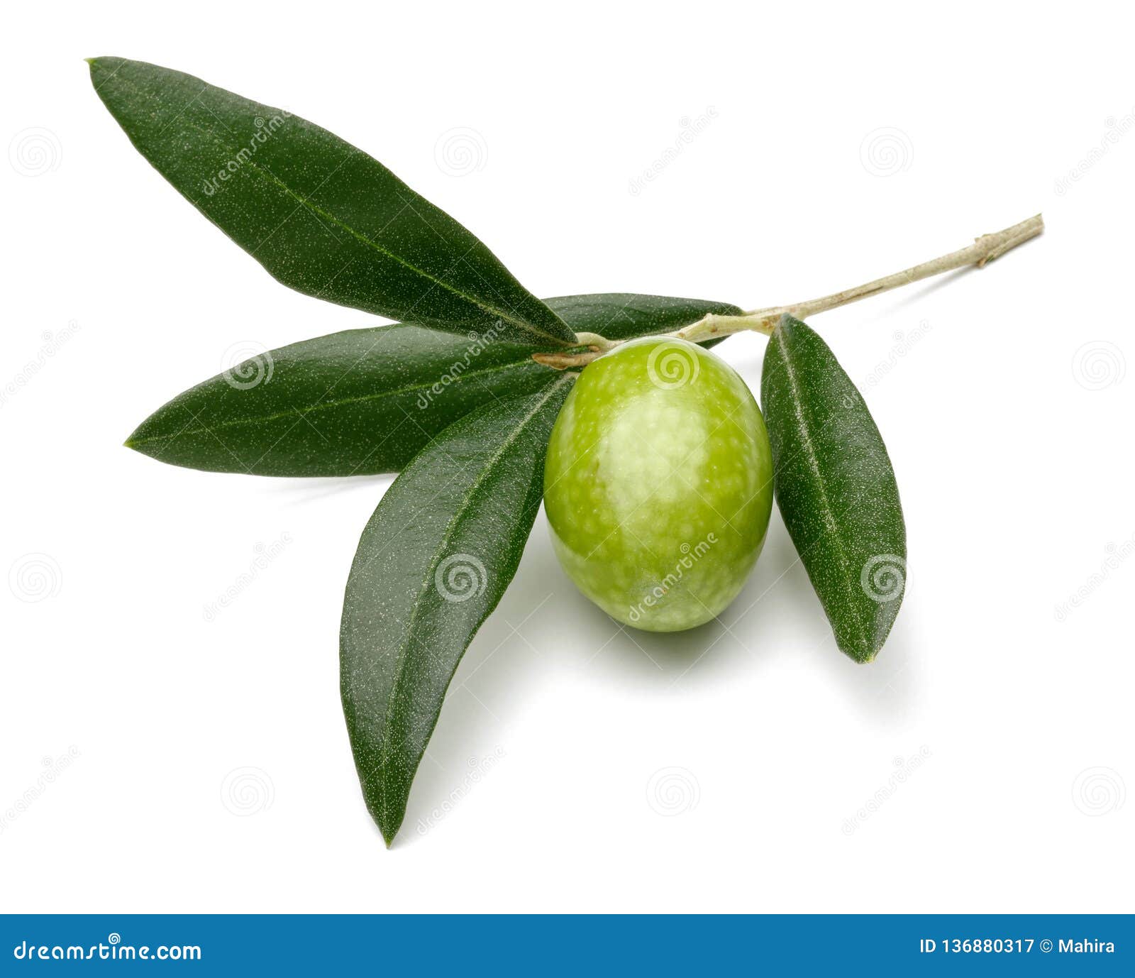 Green Olive and Leaves on White Background Stock Image - Image of ...