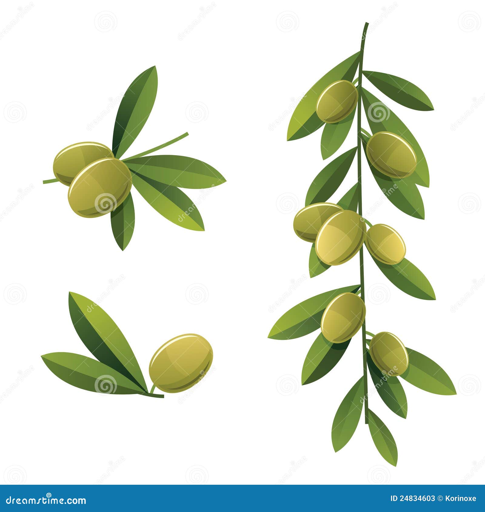 Green olive set stock vector. Illustration of fruit, ingredient - 24834603
