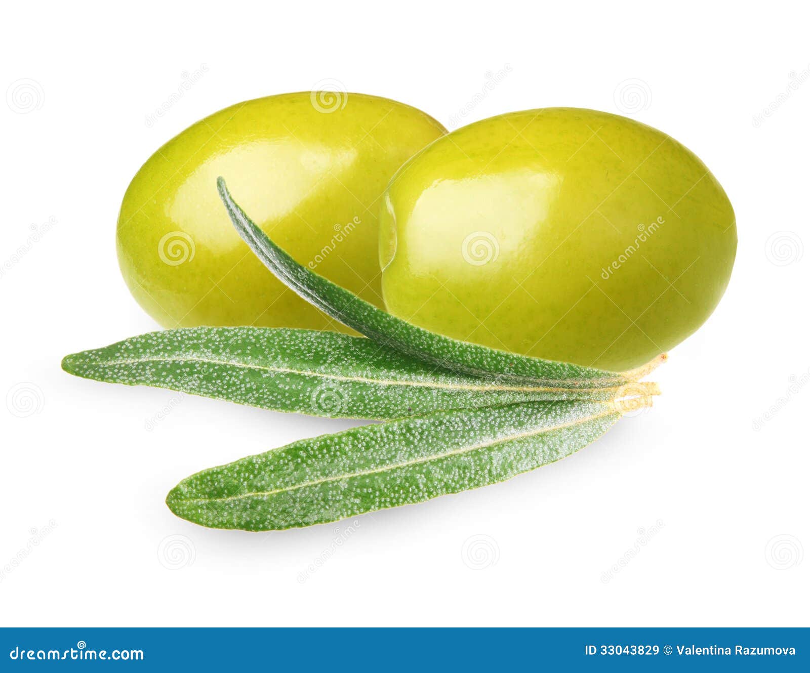 Green olives with leaves stock image. Image of fresh - 33043829