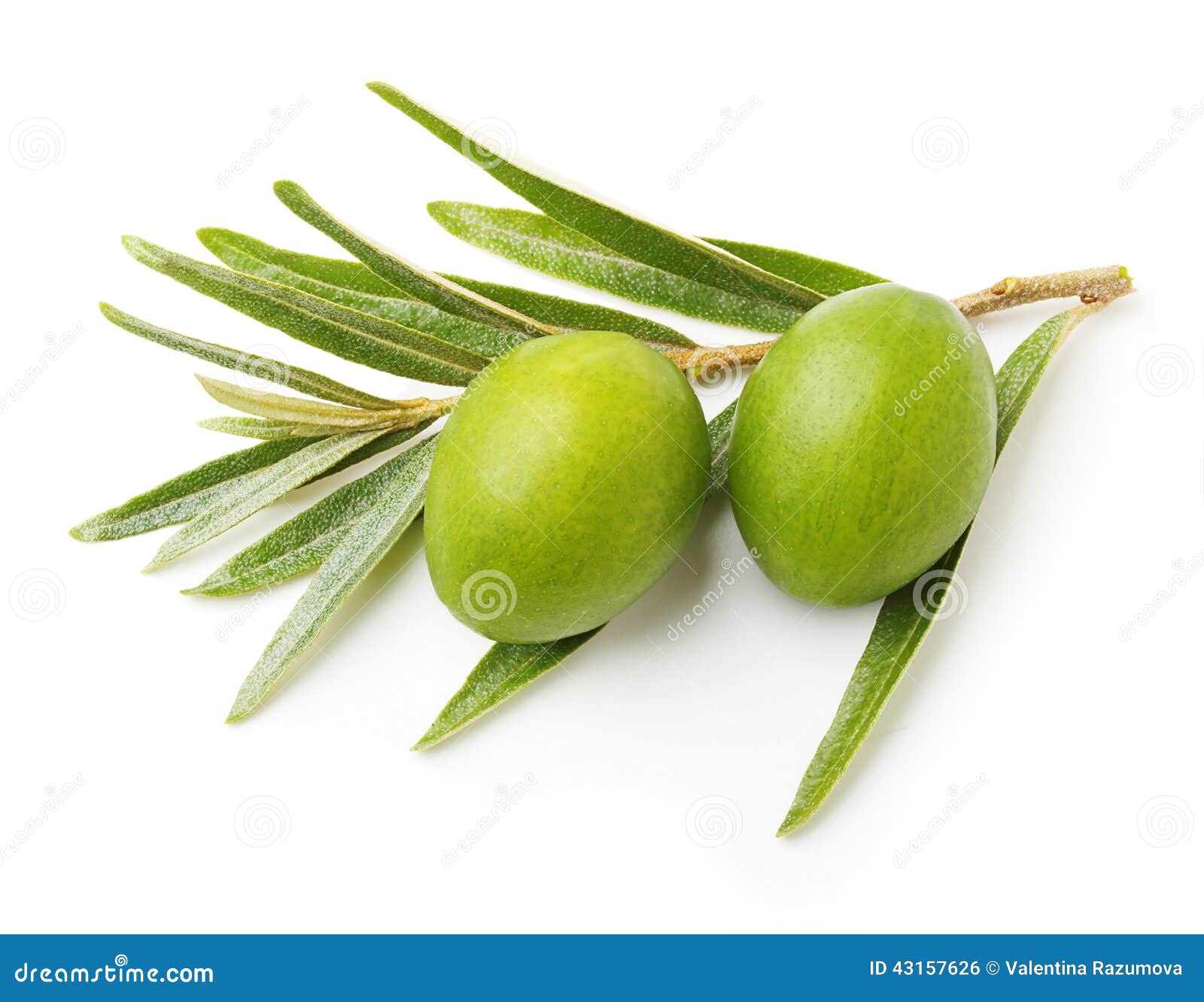 Green olives stock photo. Image of closeup, fresh, green - 43157626