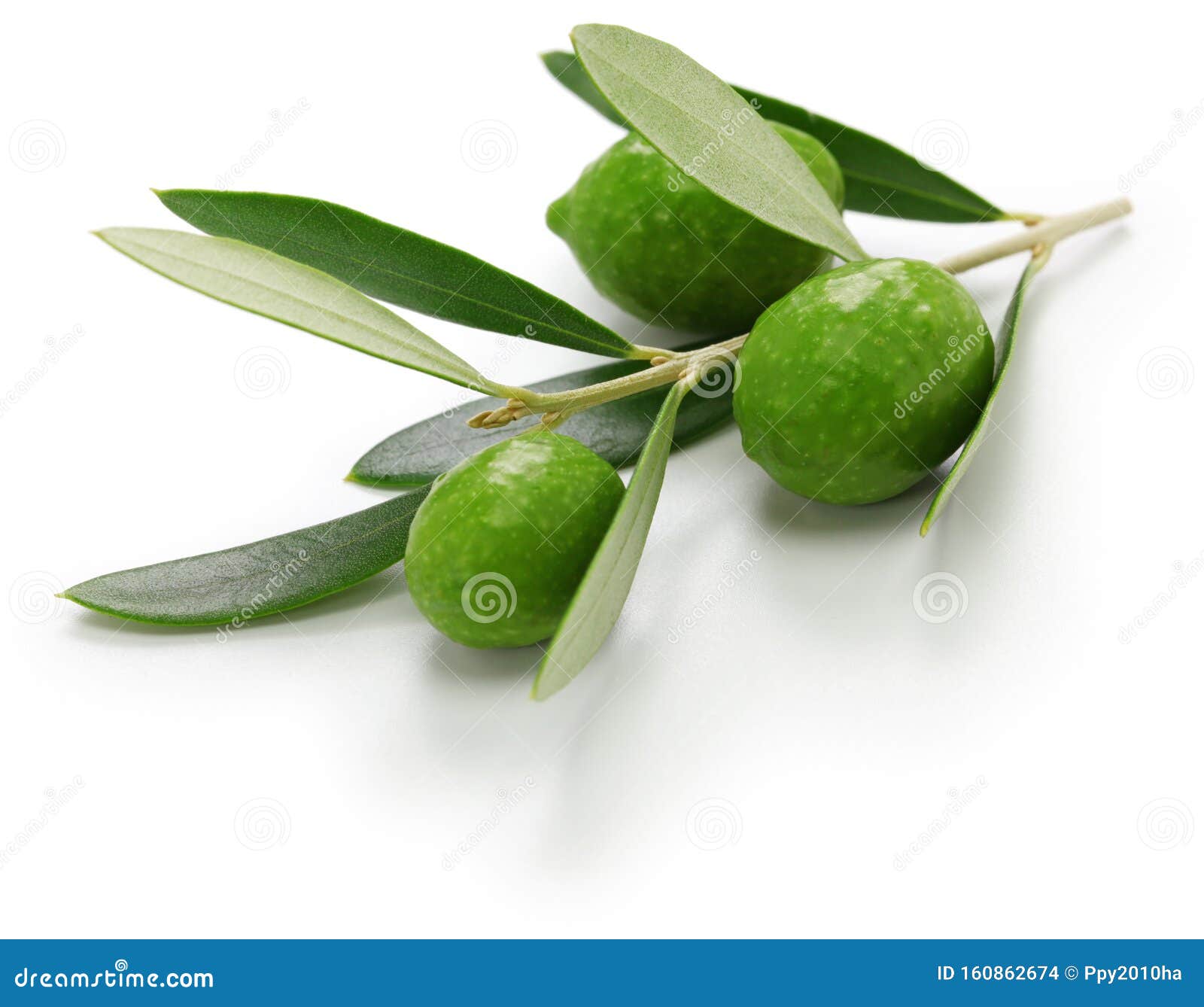Green olives with leaves stock photo. Image of italy - 160862674