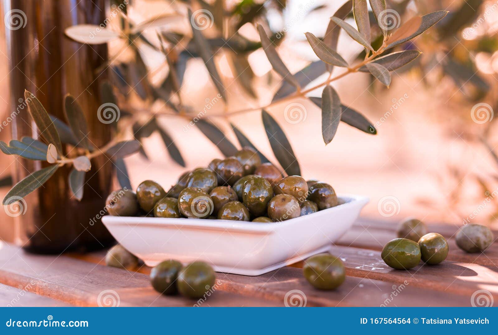Olives on Table in an Olive Grove Stock Photo - Image of eating, branch ...