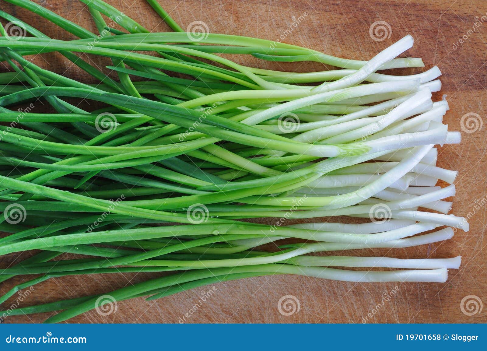 Green onion stock photo. Image of green, root, healthy - 19701658