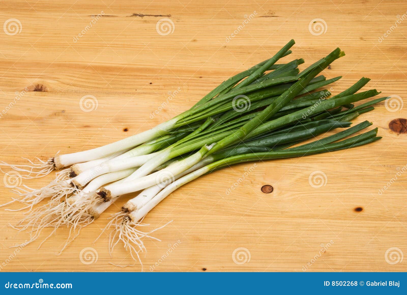Green onion stock photo. Image of food, vitamin, agriculture - 8502268