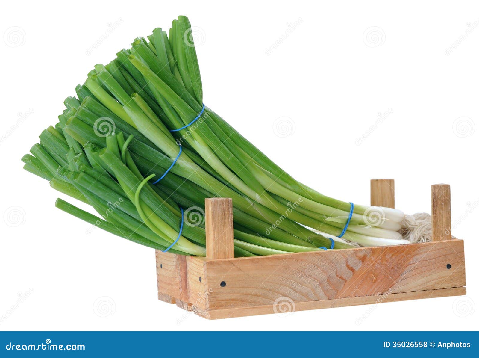 Green onion bunch in crate stock photo. Image of case - 35026558