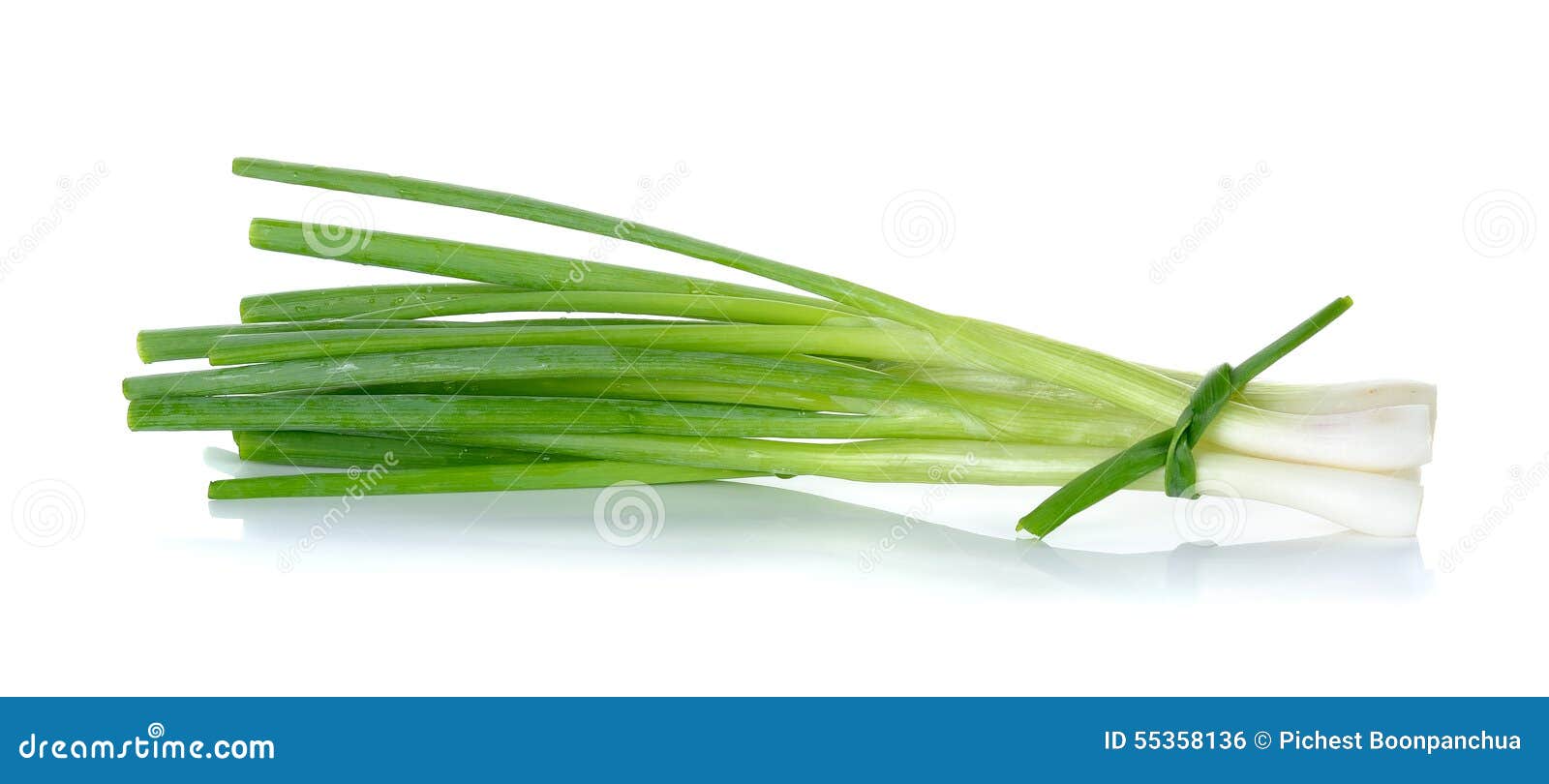 Green Onion Isolated on the White Background Stock Photo - Image of ...