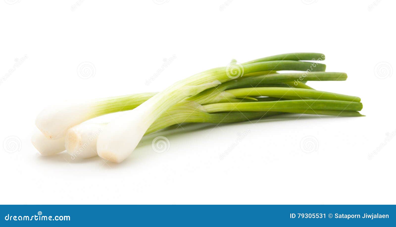 Green onion isolated stock image. Image of flora, gourmet - 79305531