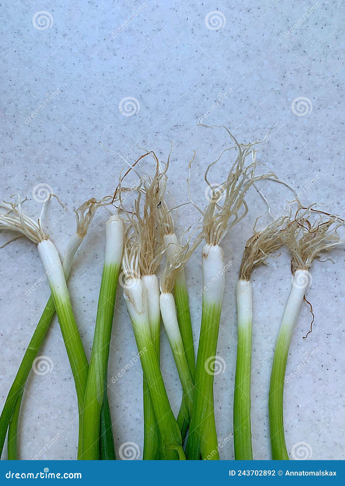 Green Onion, Long Stems of Young Onion, Green Onion Arranged in a Row ...