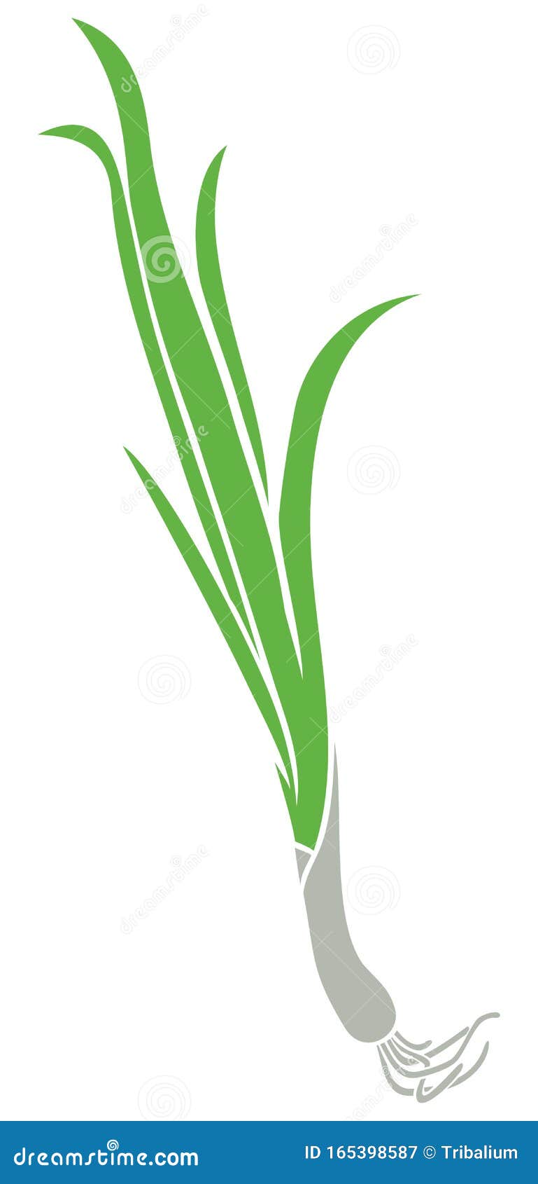 Green Onion Vector Icon Vegetable Stock Illustration - Illustration of ...