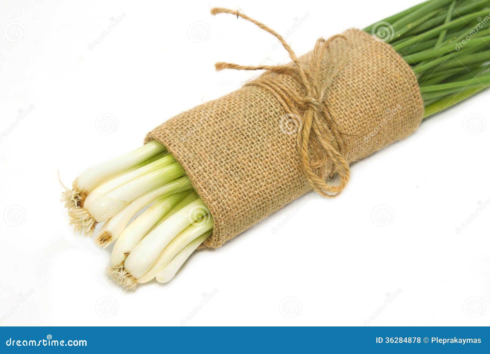 Green Onion on White Background Stock Photo - Image of drops, edible ...
