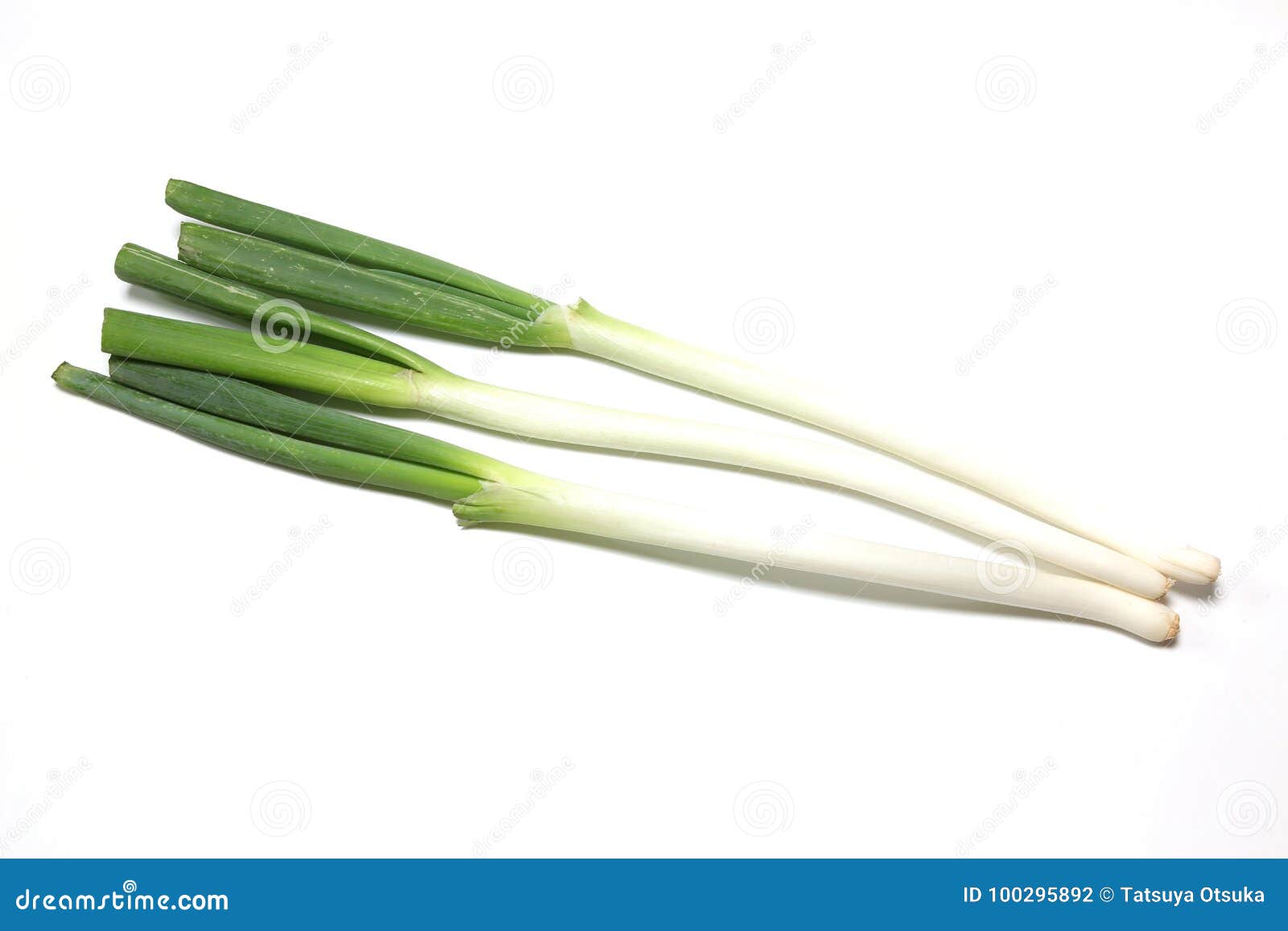 Green Onion in a White Background Stock Photo - Image of nutrition ...