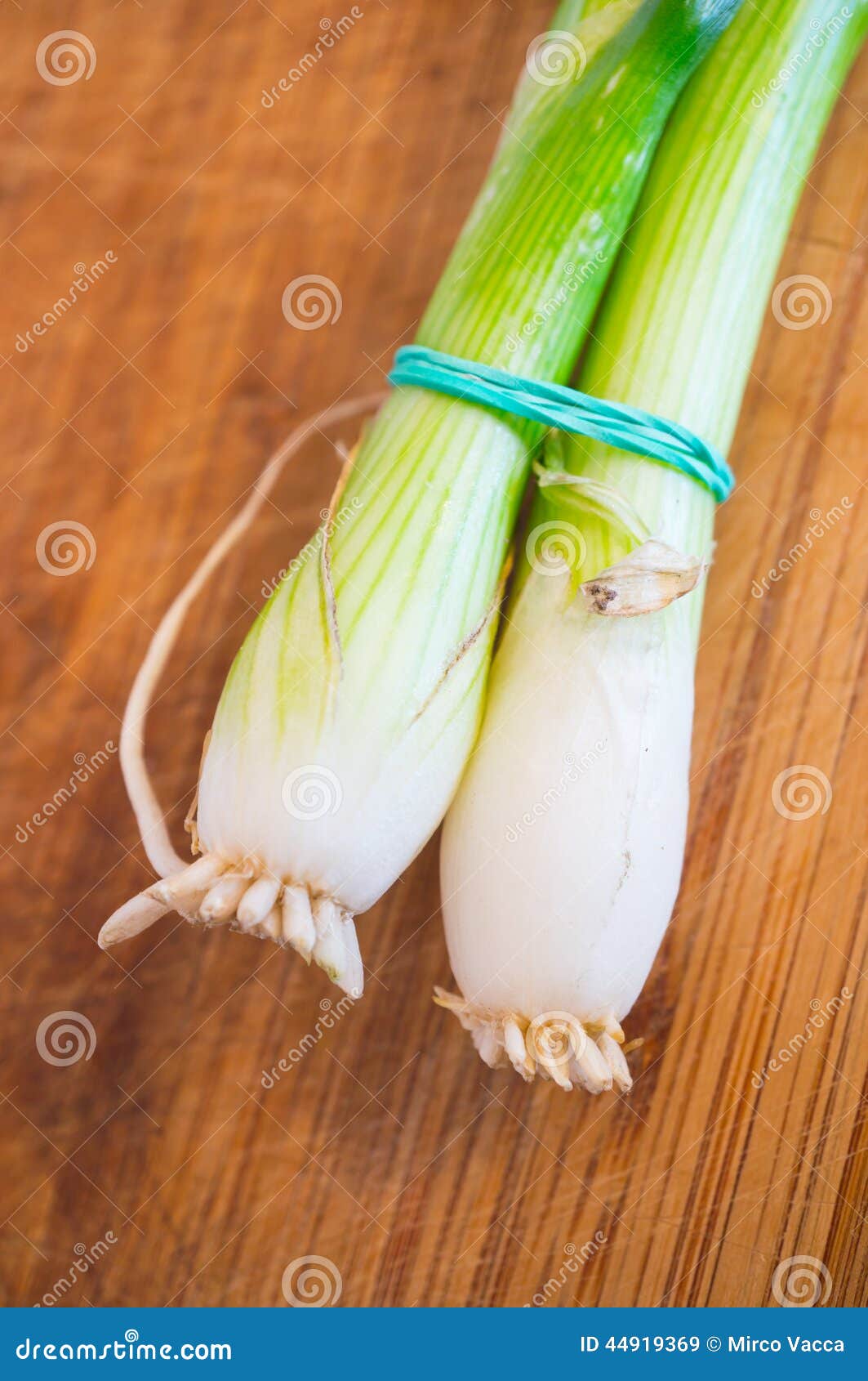 Green onion stock image. Image of scallion, onion, produce - 44919369